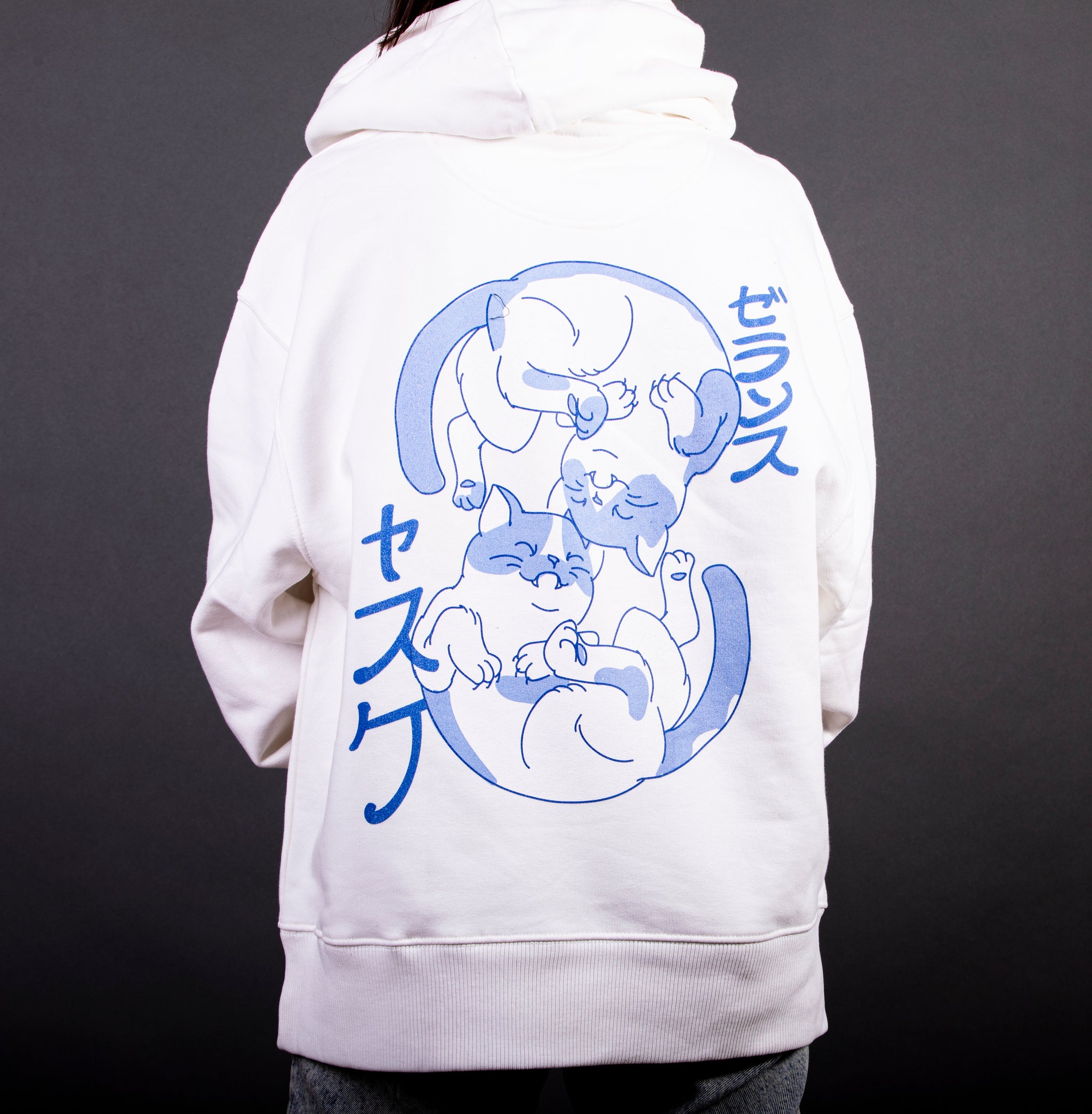 Zerance e-sport – Team Zerance